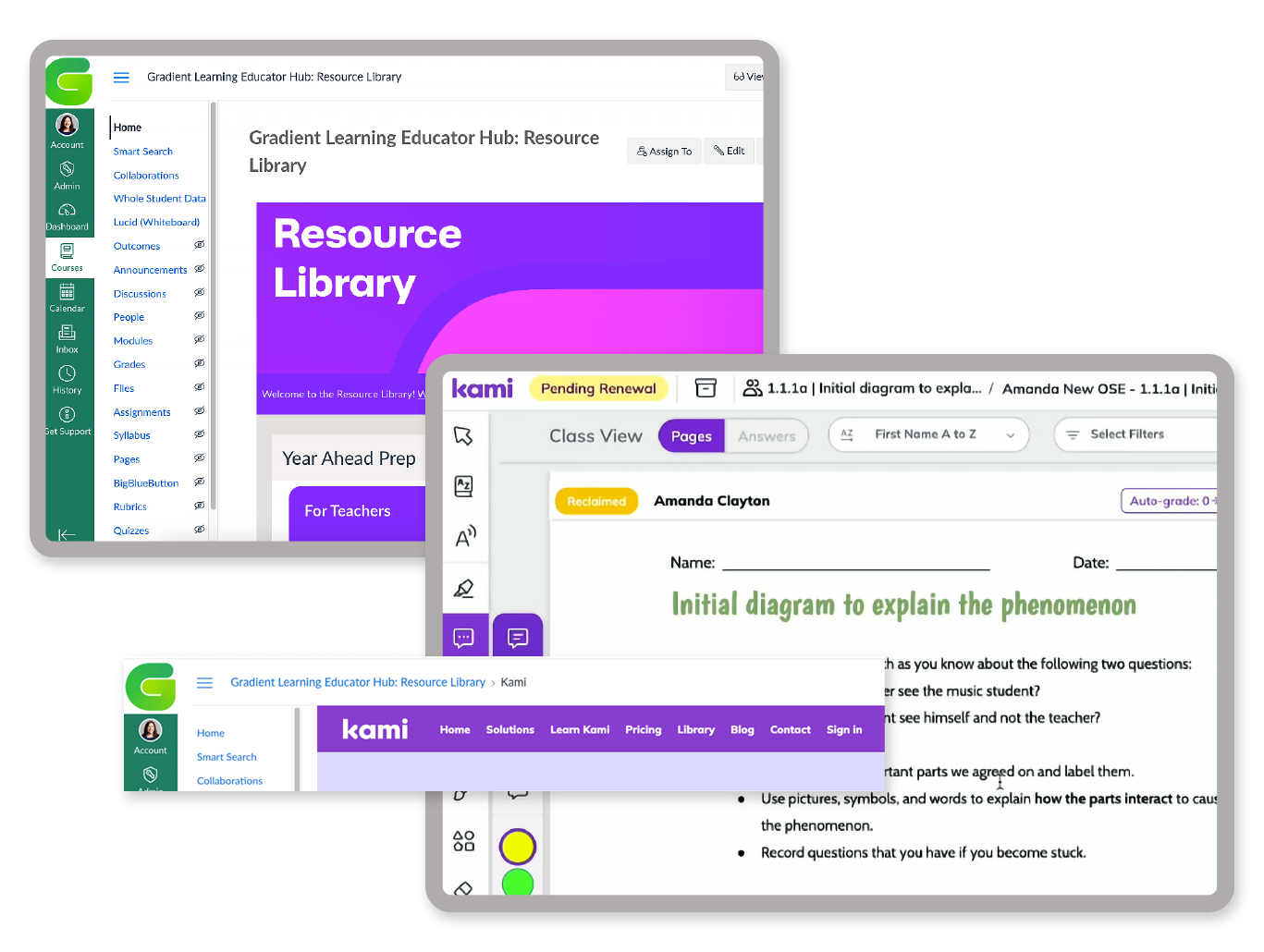 | The Whole Student System